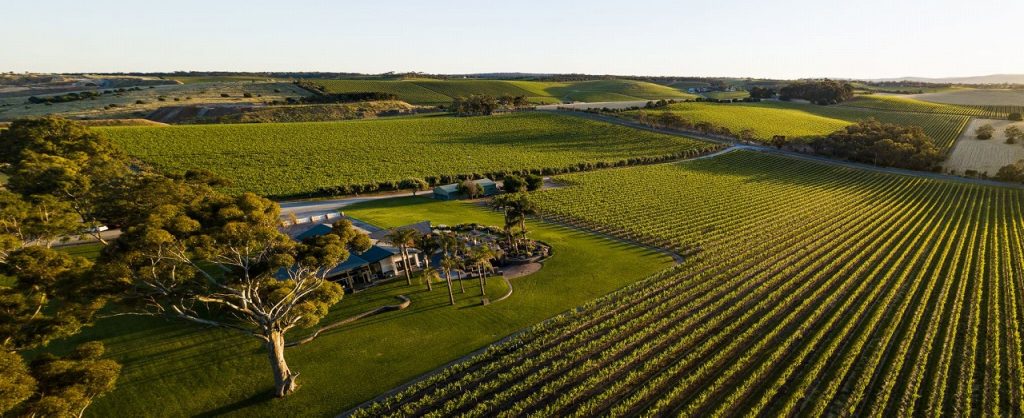 歴史があるから未来を描ける 家族経営の生産者特集 - 趣味のワイン | ワインの通販 COCOSのブログ