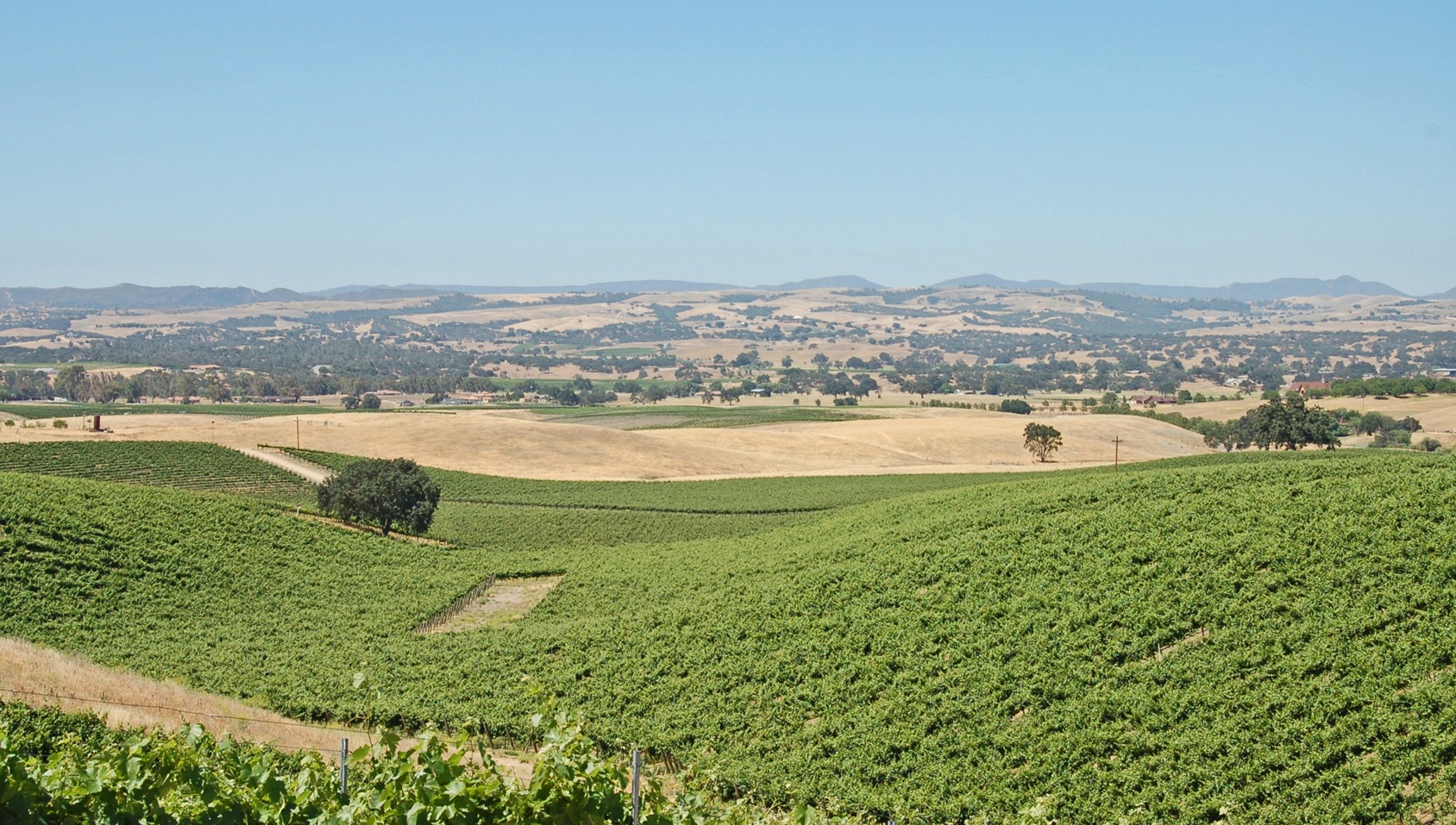 パソ・ロブレスの産地解説｜カベルネ・ソーヴィニヨンについてナパ・ヴァレーと比較する - 趣味のワイン | ワインの通販 COCOSのブログ
